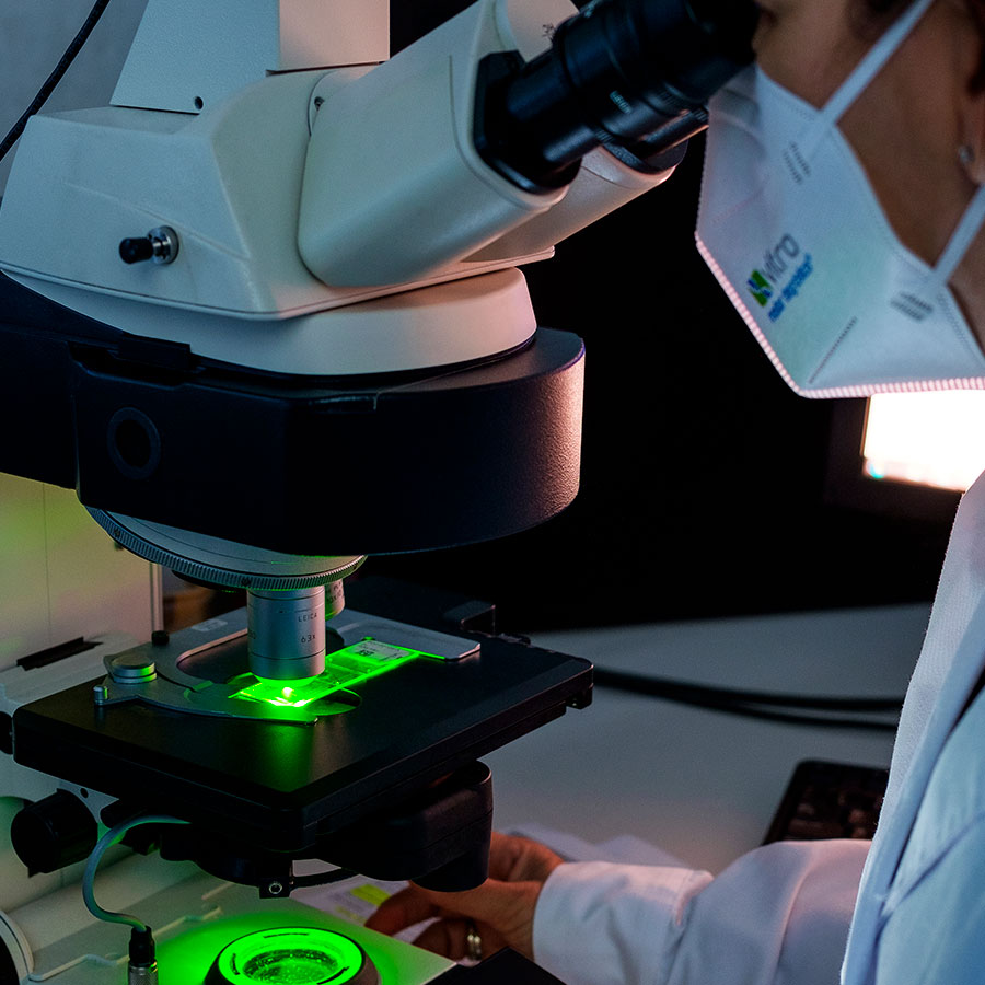 Inmunoflourescencia - Vitro master diagnóstica